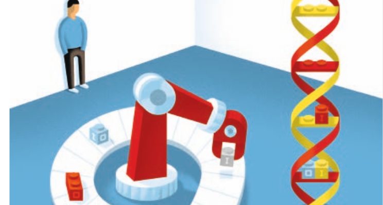 The Software Assembly Line